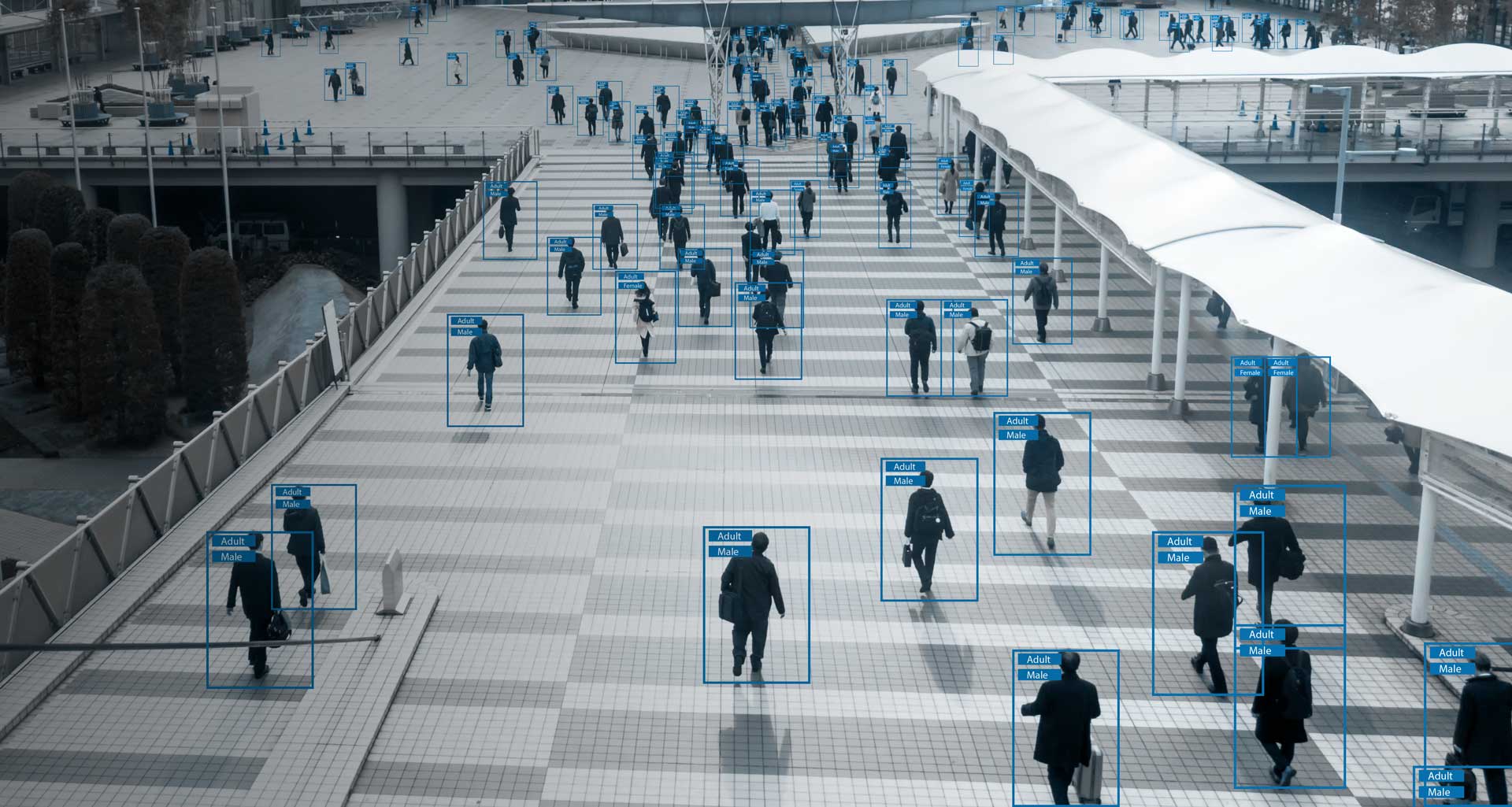 Your Guide to CCTV Monitoring | Clearview