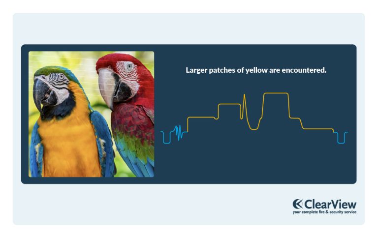 A Guide to Understanding Camera Specifications and Performance